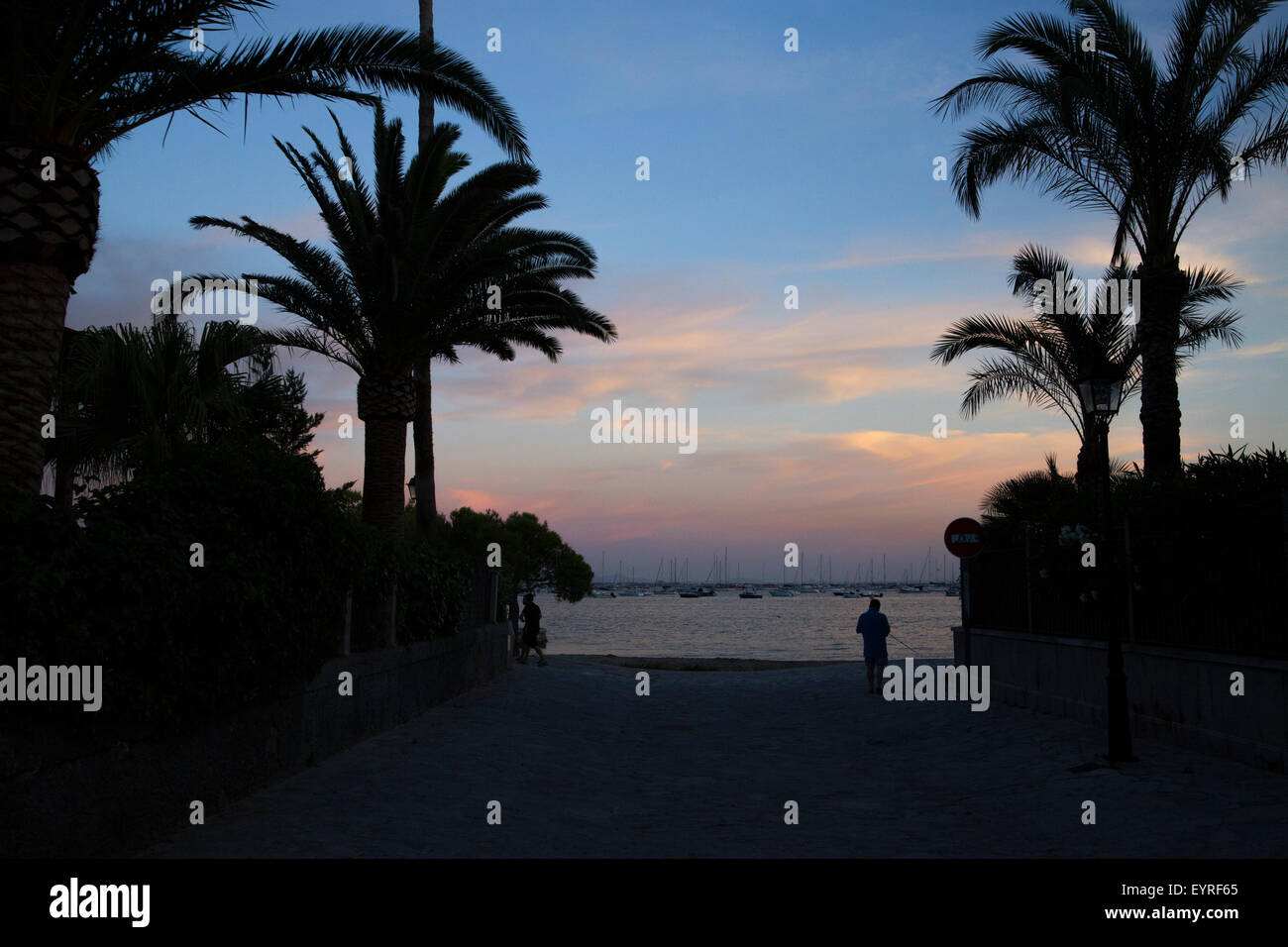 Puerto pollensa pine walk hi-res stock photography and images - Alamy