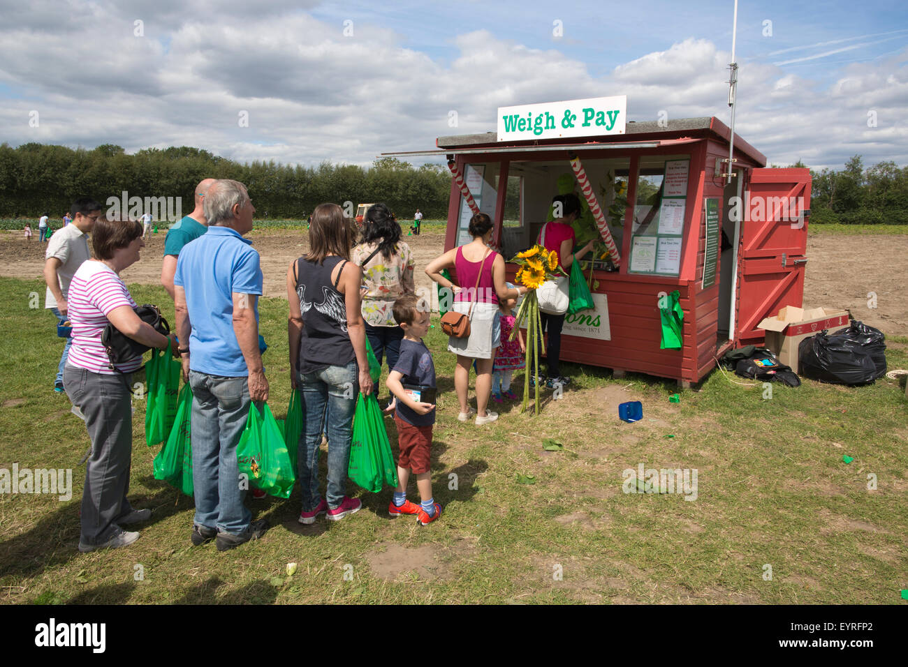 Pick Your Own fruit and vegetable farm, Garsons, Esher, Surrey, England ...