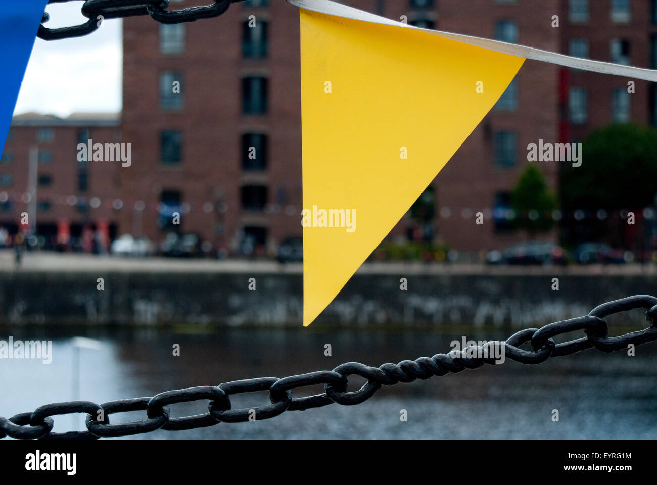 Editorial image taken in Liverpool of Yellow bunting along the fence ...