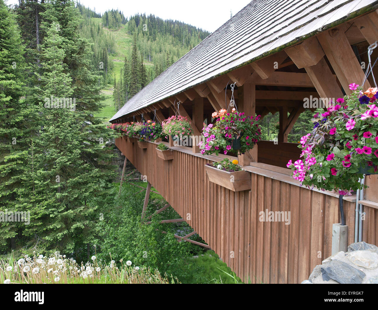 Covered wooden bridge at Sun Peaks resort Stock Photo - Alamy
