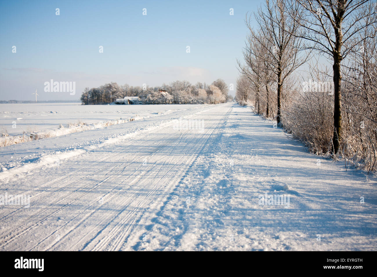 Dutch farmland in wintertime covered by snow Stock Photo - Alamy