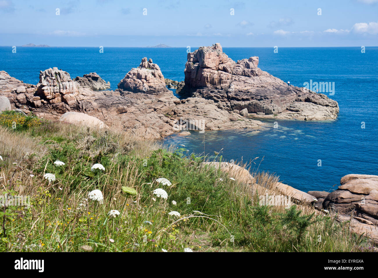 Brittany coast wild flowers hi-res stock photography and images - Alamy