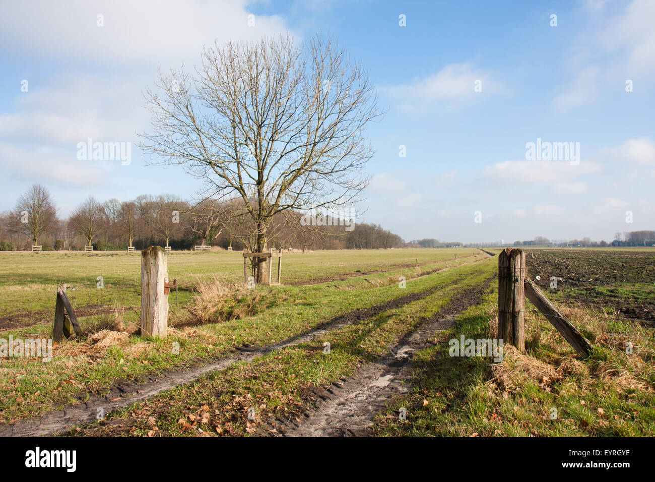 Serene dutch landscape hi-res stock photography and images - Alamy