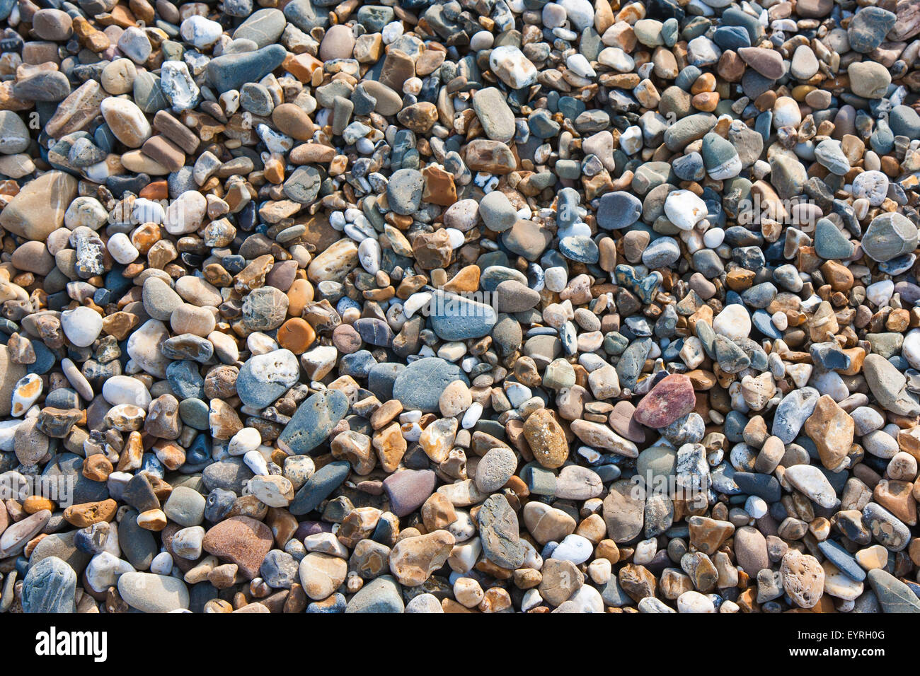 Many colored pebbles at the beach Stock Photo - Alamy