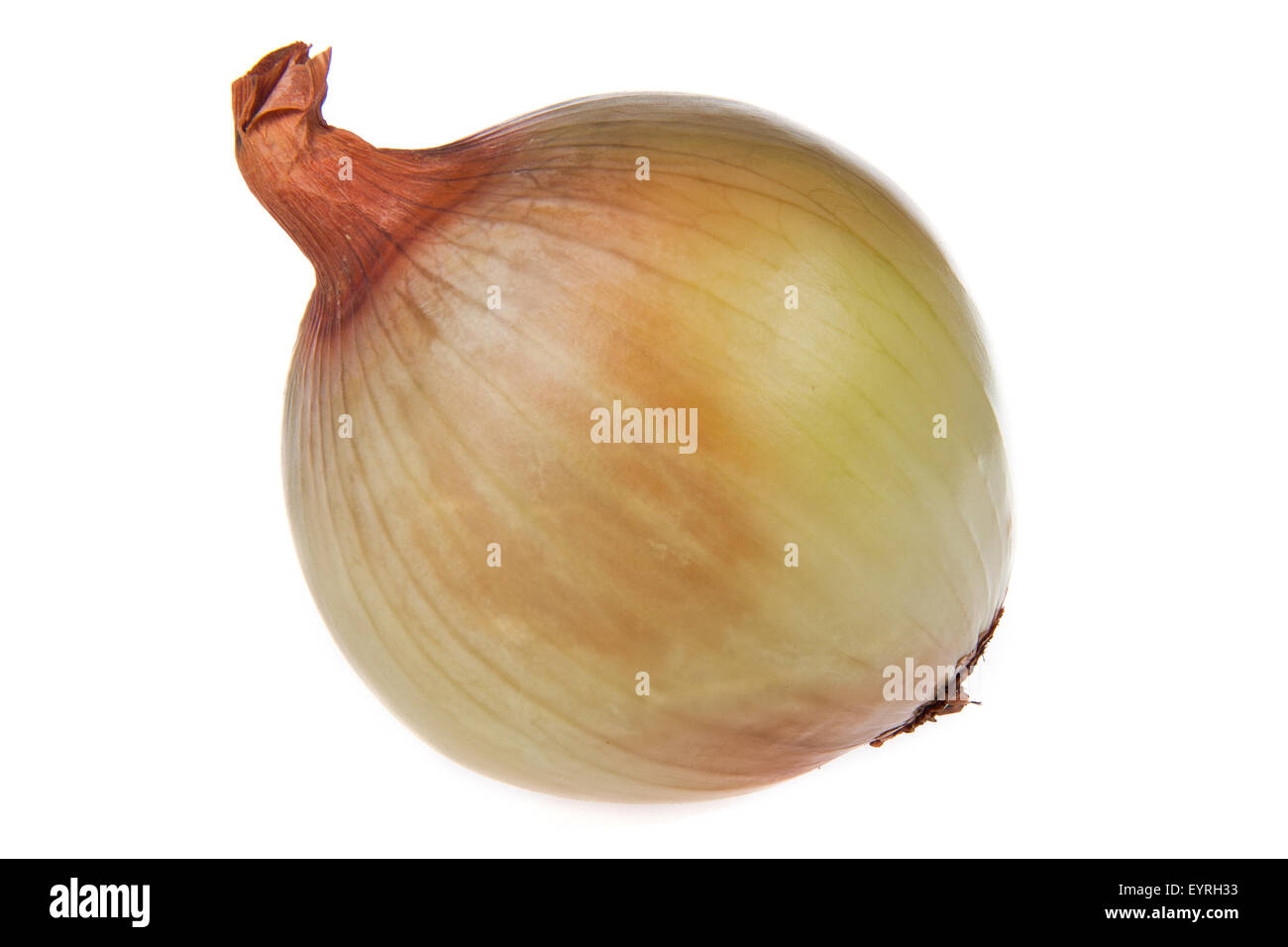 Beautiful onion isolated on hi-res stock photography and images - Alamy
