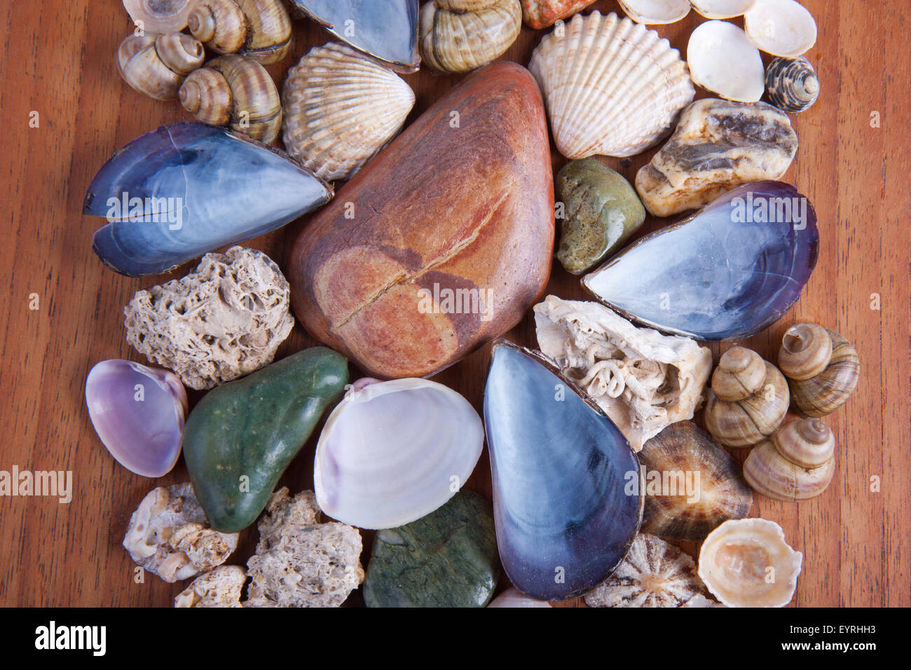 Beautiful decoration of colorful stones and shells Stock Photo - Alamy