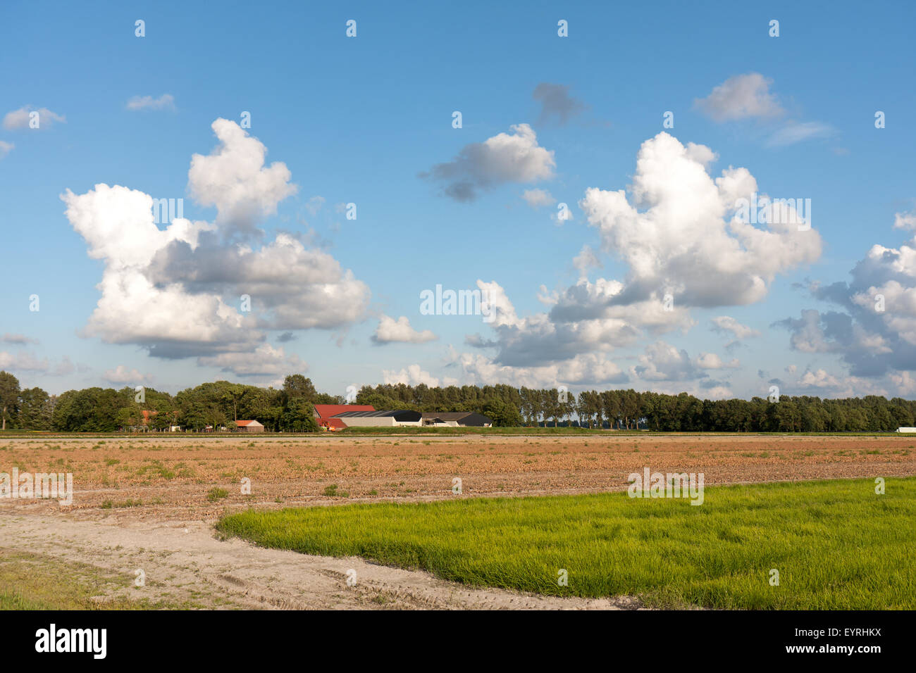 Farmland in the Netherlands with a typical Dutch cloudscape Stock Photo - Alamy