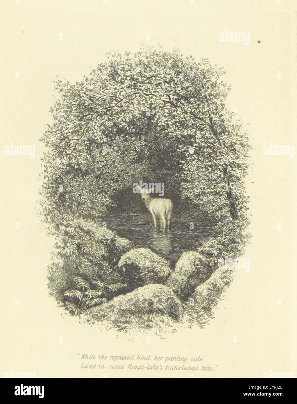 An image from page 8 of 'The Dawning Grey,' illustrating verses with ...