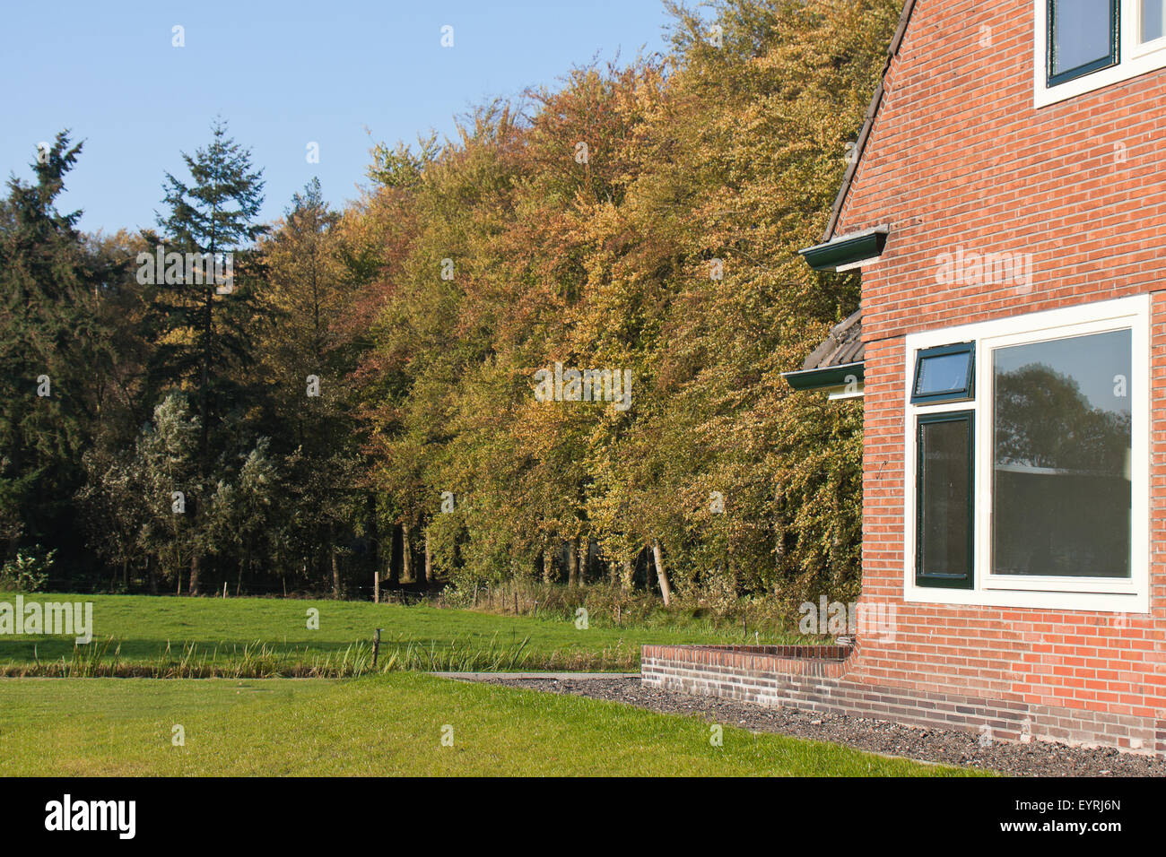 Dutch house surrounded with meadows and a forest Stock Photo - Alamy
