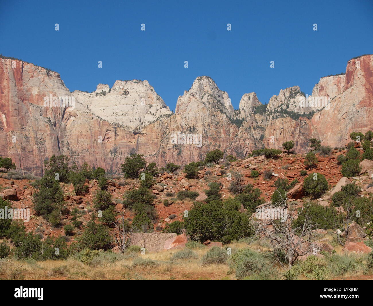 Zion national park landscape in hi-res stock photography and images - Alamy