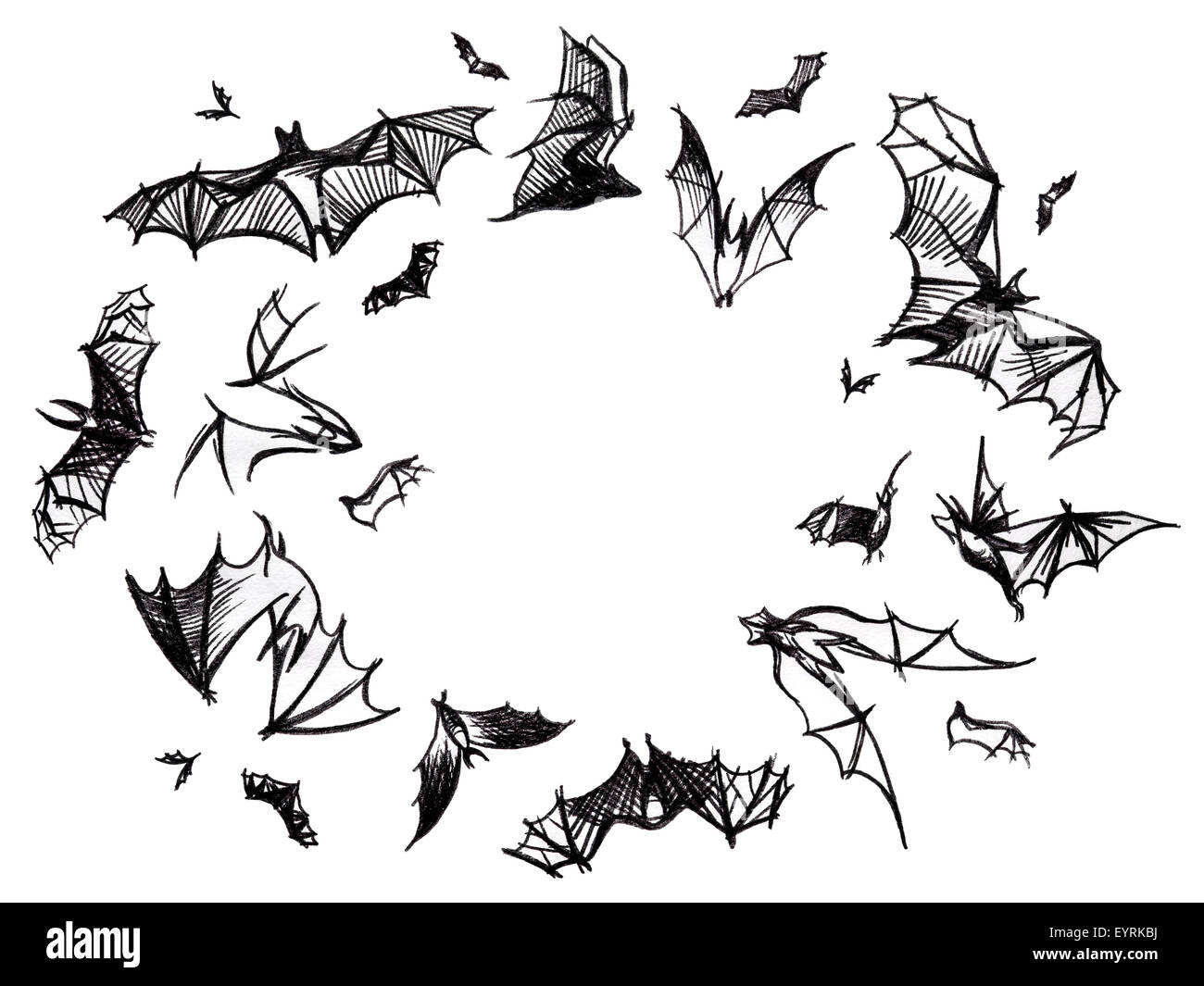 Flying isolated bats Stock Photo - Alamy