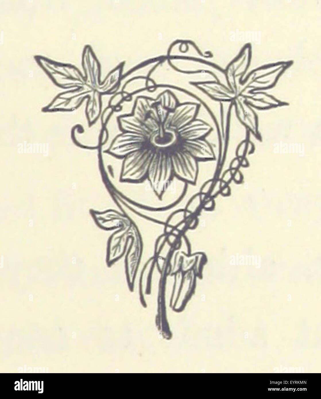 This image from 'Between the Acts' depicts a scene from the novel ...