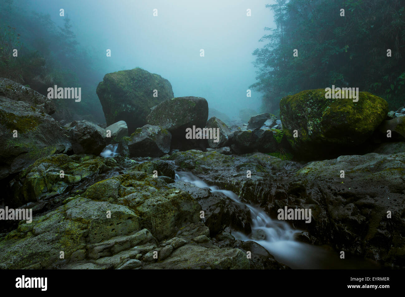 Portugal, Madeira, Levada, mountains, brook, fog, atmosphere, scenery ...