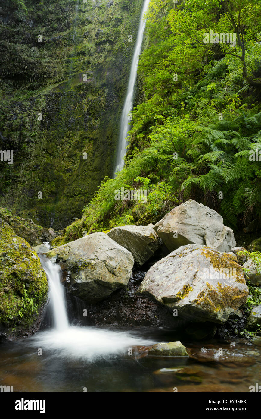 Portugal, Madeira, Levada, waterfall, brook, water, scenery, green ...