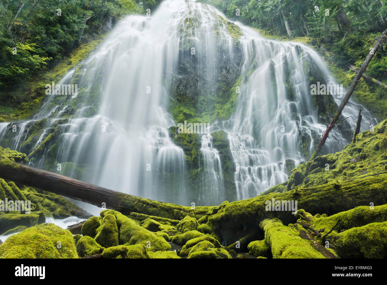 The USA, America, Oregon, lava, volcanic, Proxy Falls, waterfall, moss ...
