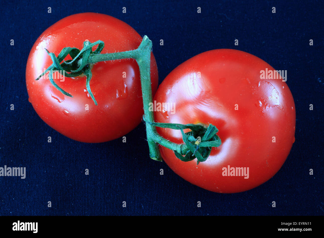 Horizontal tomatoes hi-res stock photography and images - Alamy