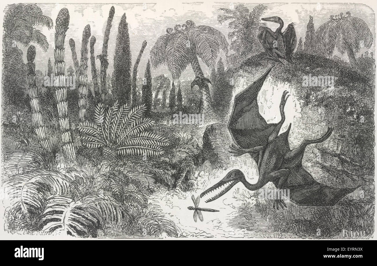 This image illustrates the prehistoric world before the deluge ...