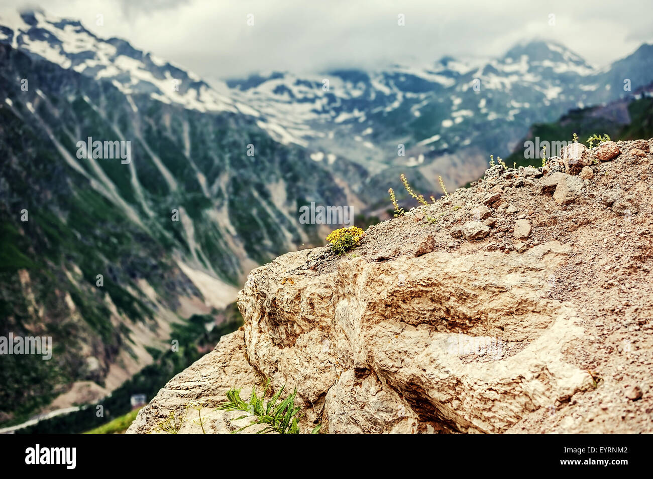 stones rocks of Mount Cheget. high mountains with herbs and glaciers on ...