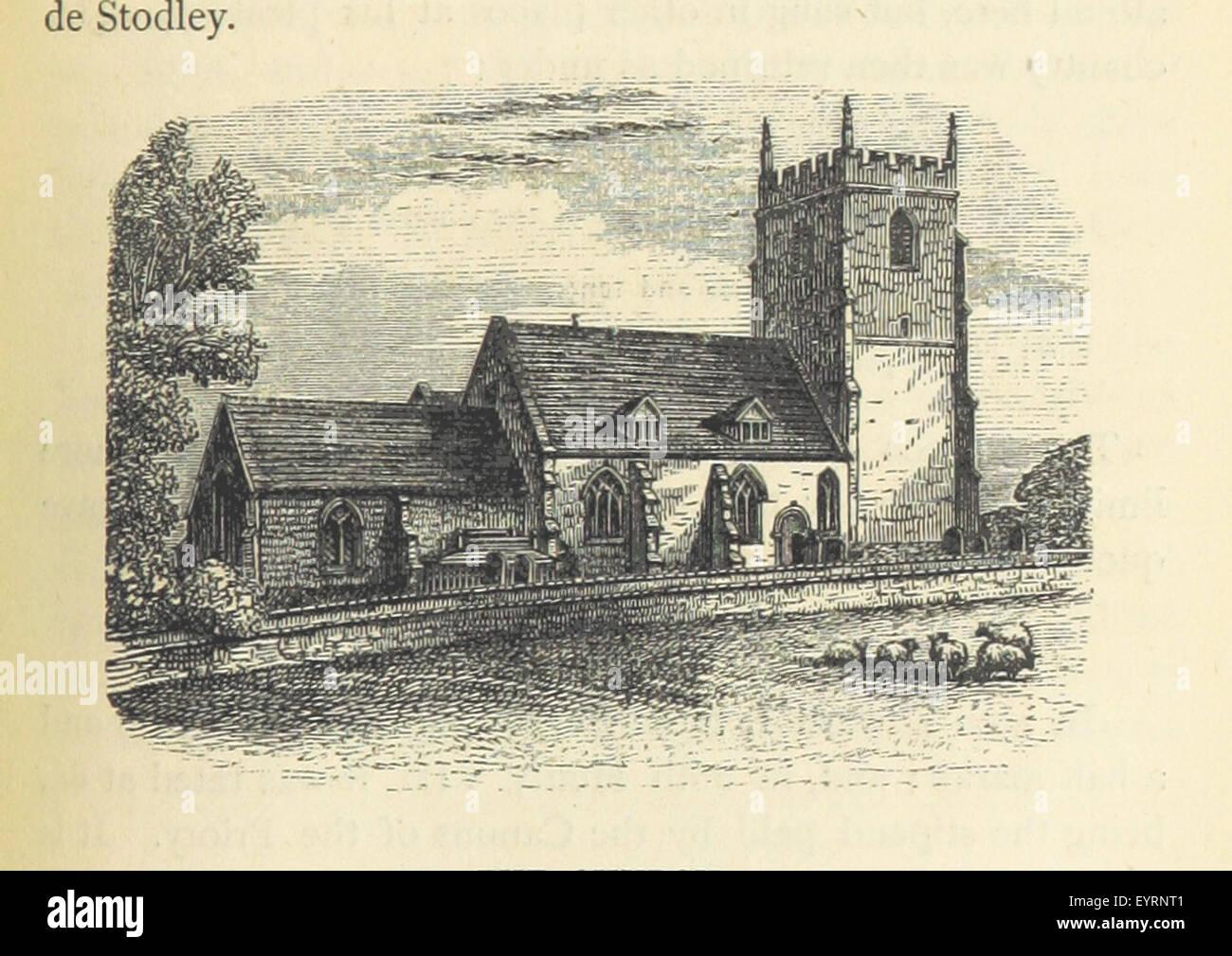 This image from 'The Forest of Arden' likely depicts a scene set in the ...
