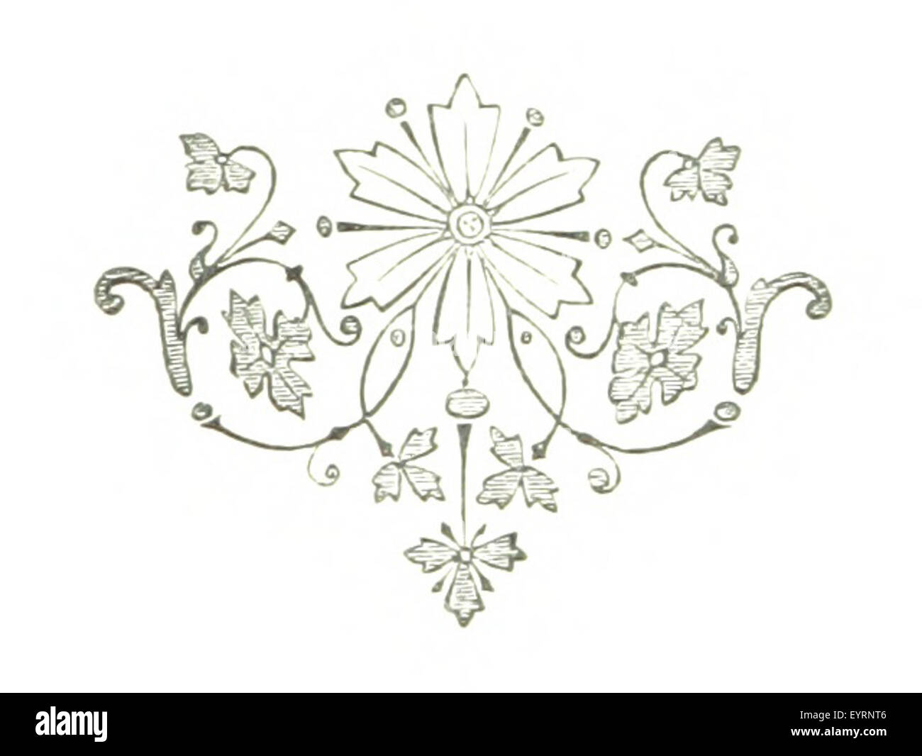 Image from page 115 of 'The History of Roche', showing an important ...