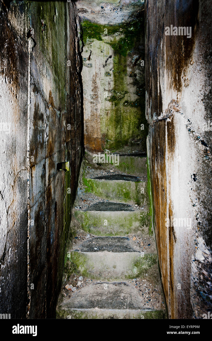 Old cellar steps hi-res stock photography and images - Alamy