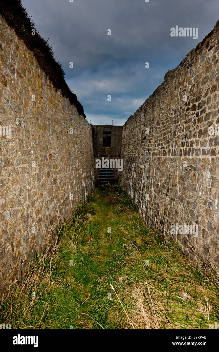 Trench covered hi-res stock photography and images - Alamy