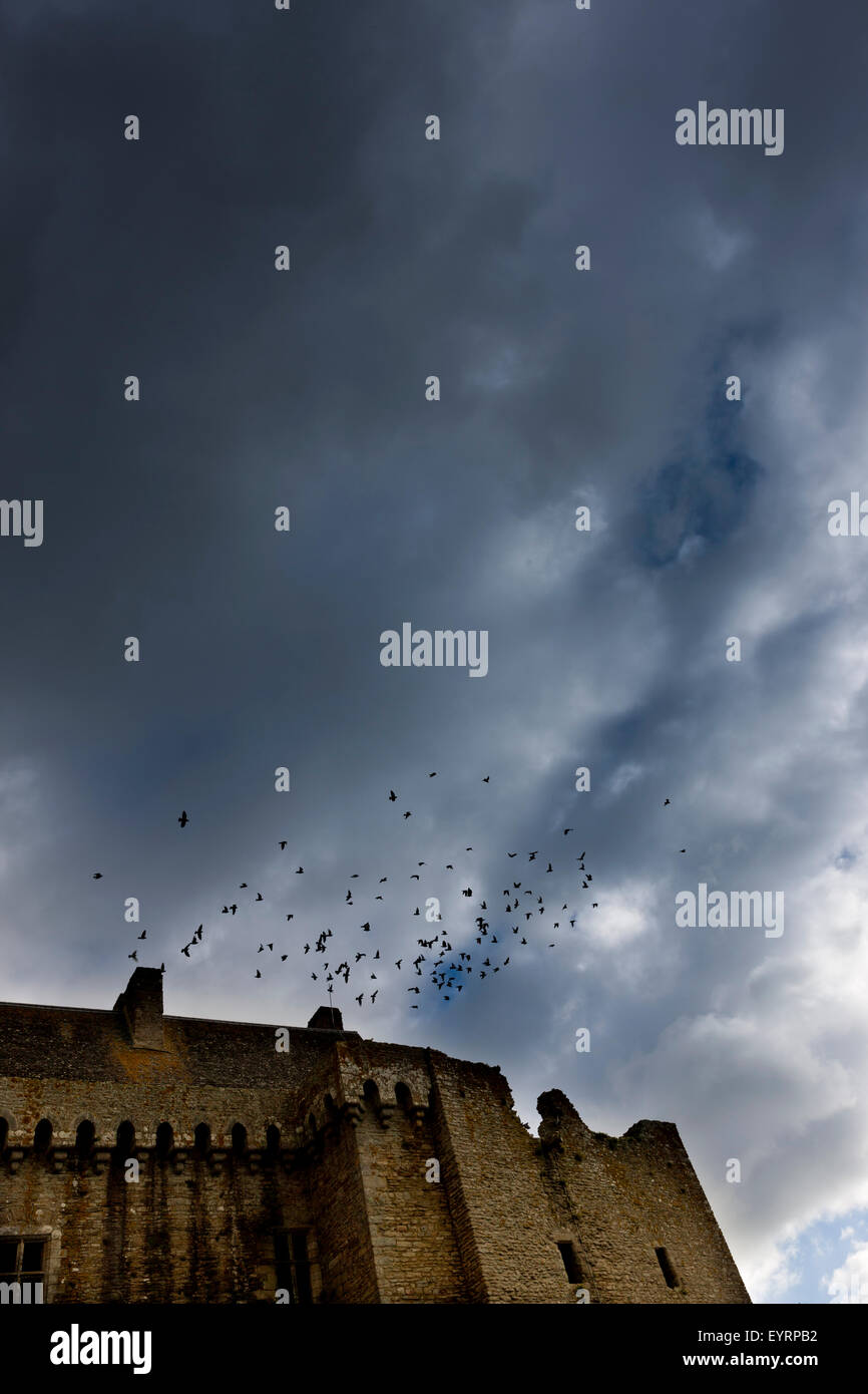 Birds above castle wall Stock Photo - Alamy