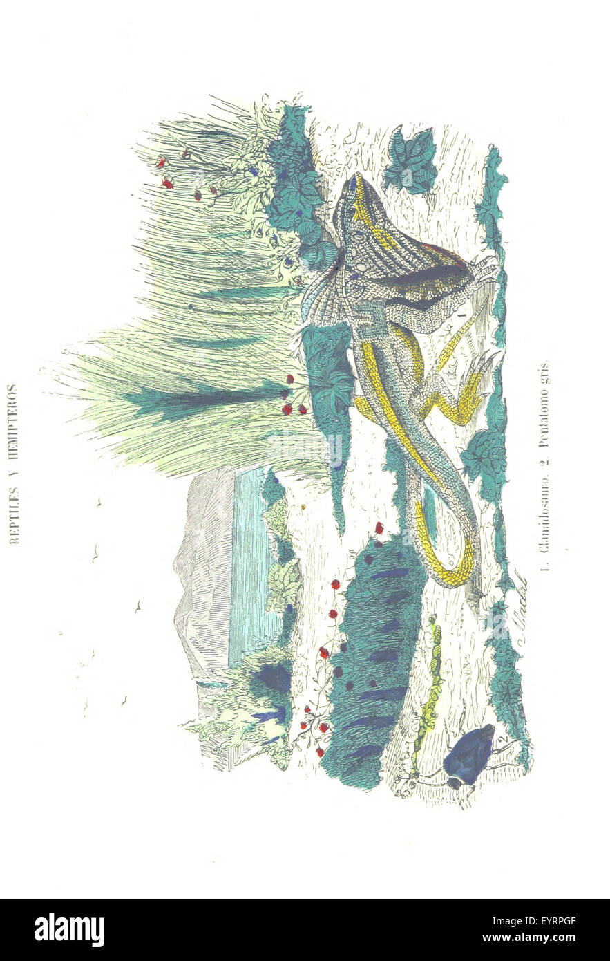An image from page 1206 of 'Los Héroes y las,' depicting notable ...