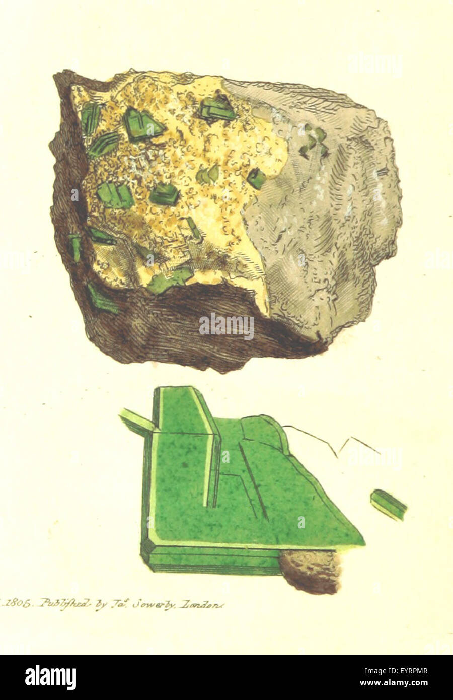 An image from 'British Mineralogy', featuring colored illustrations of ...