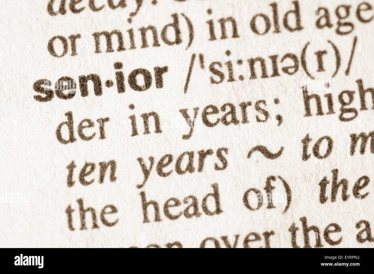 Seniority Meaning Eighteenth Dynasty of Egypt - Thutmose III