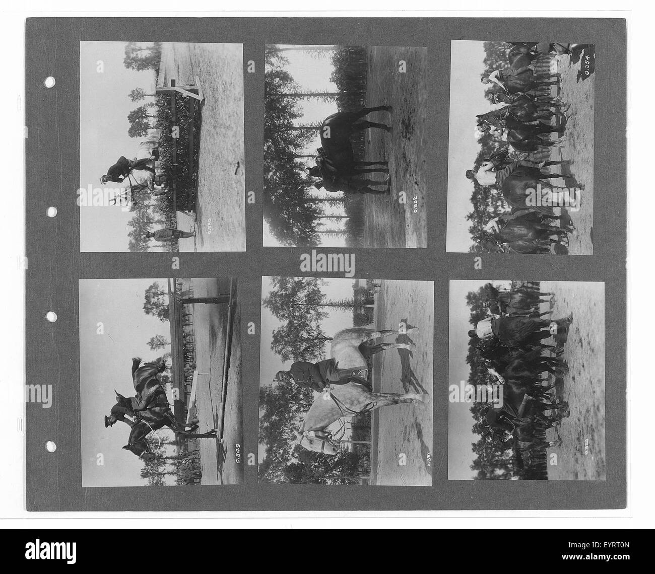 A volume of official war photographs from the Canadian War Memorials ...