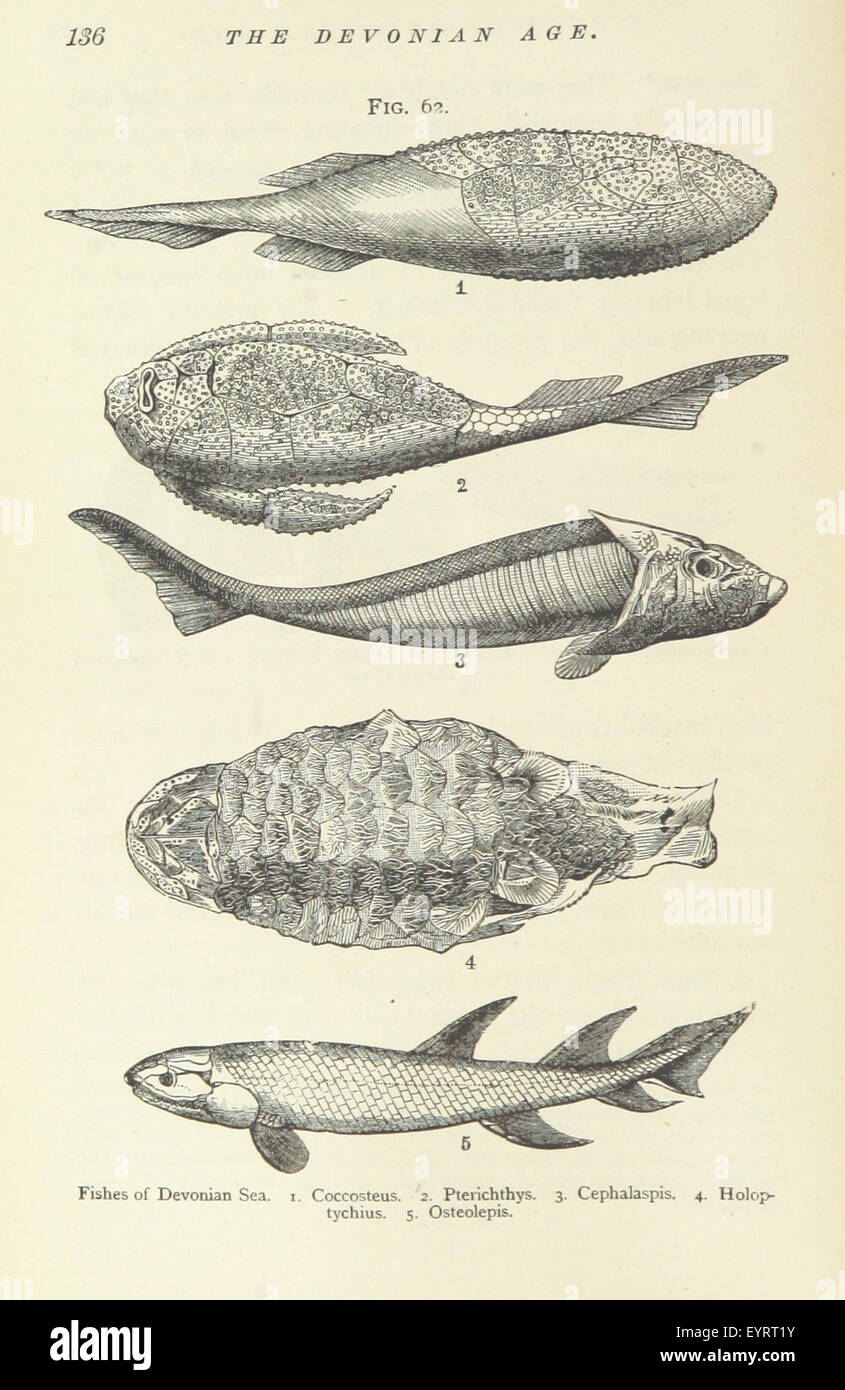 An image from 'The Story of the Rocks,' focusing on a geological study ...