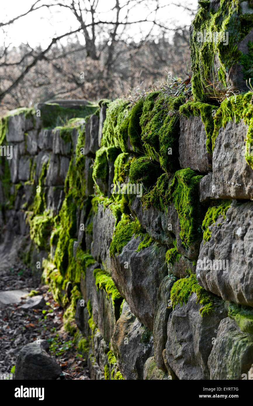 mossy stone wall Stock Photo - Alamy