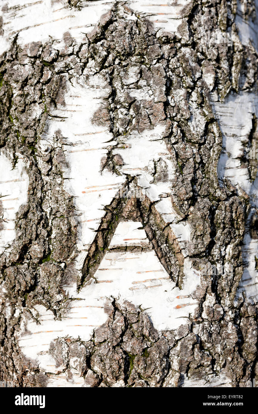 Bark letter hi-res stock photography and images - Alamy