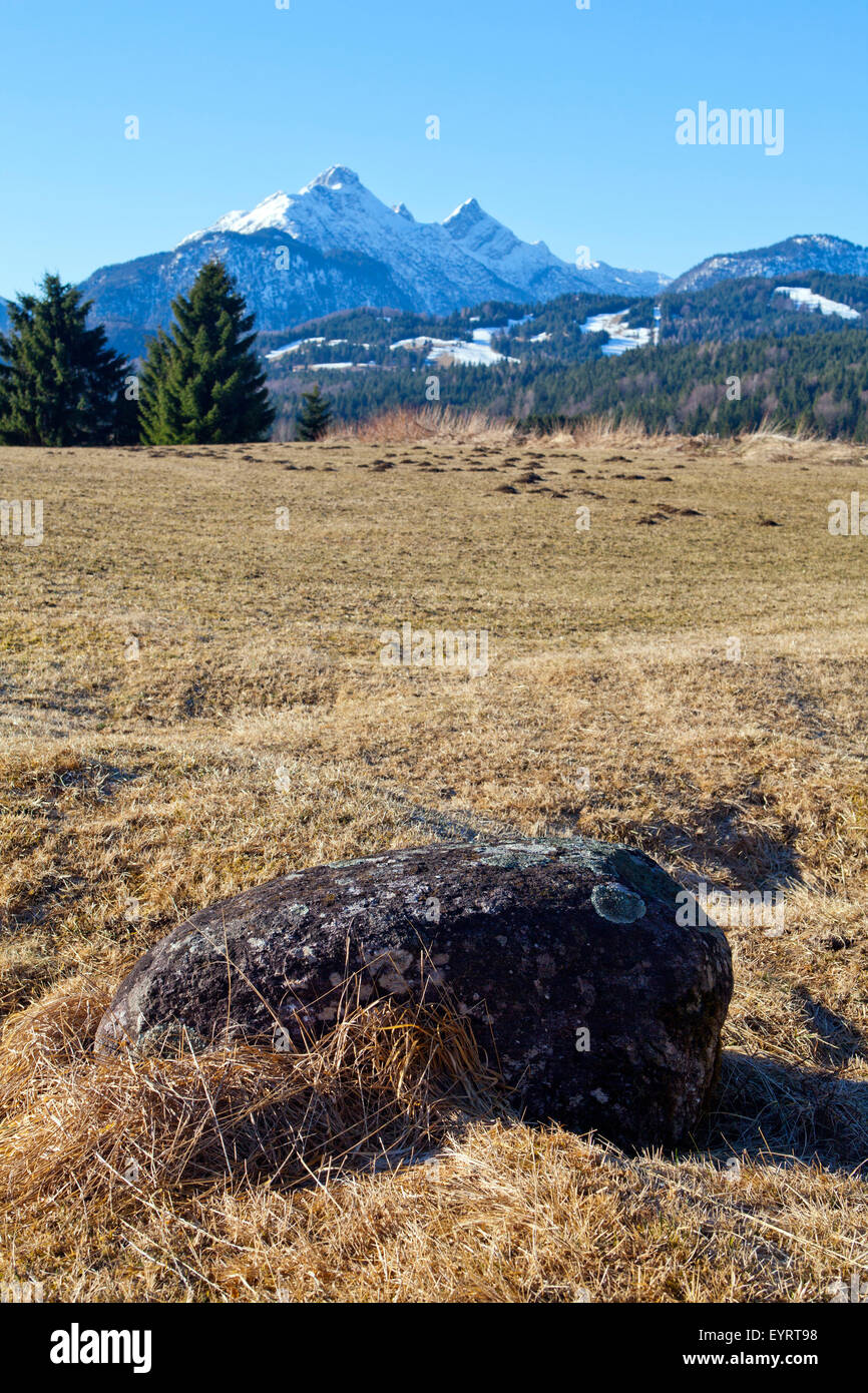 Erratic block on the 'Buckelwiesen' (hummocky meadows Stock Photo - Alamy