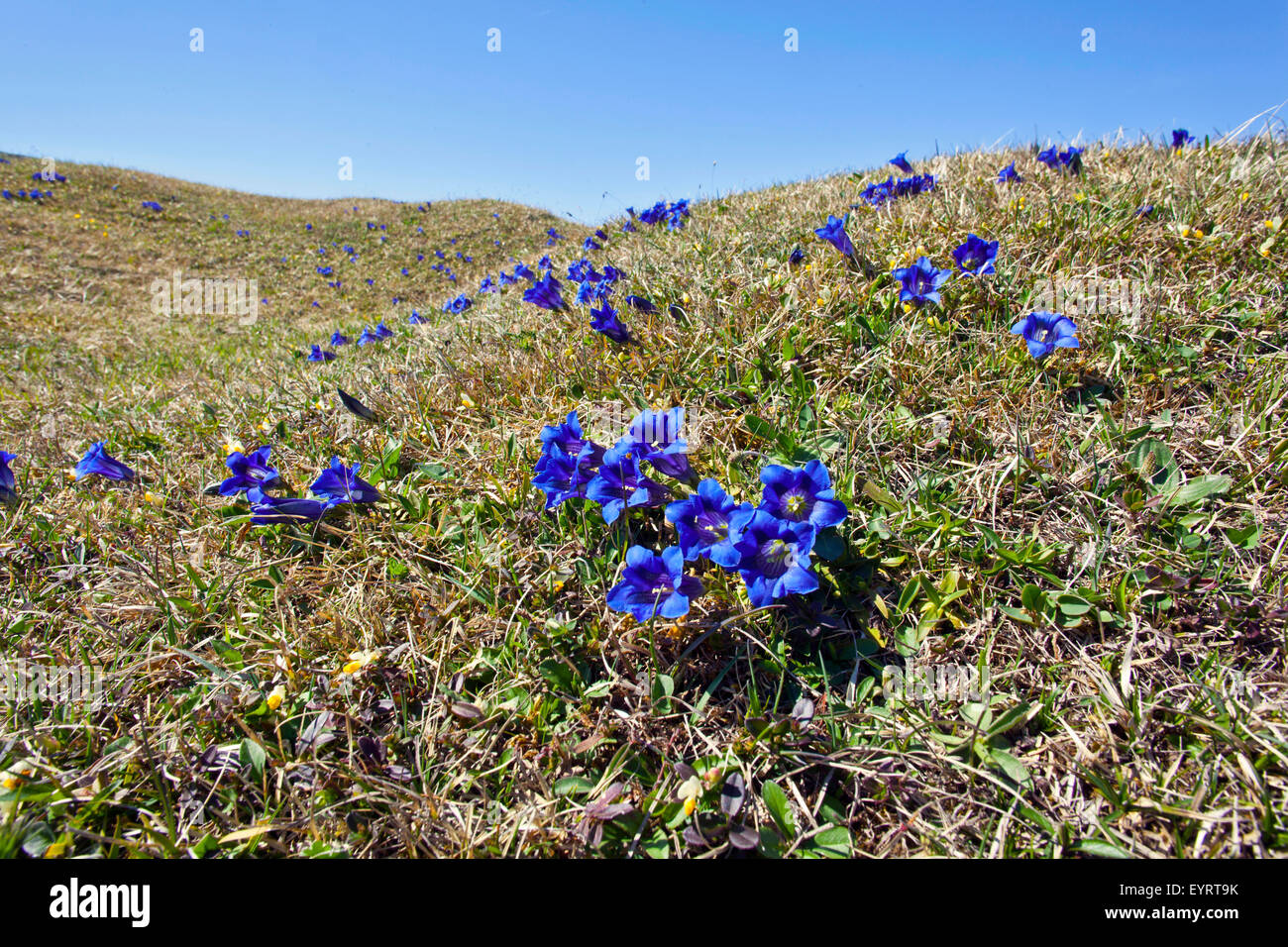 Hummocky hi-res stock photography and images - Alamy