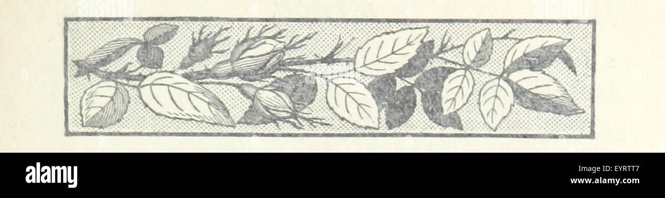 Image from 'Jethou; or, Crusoe Life in the Channel Isles', depicting ...