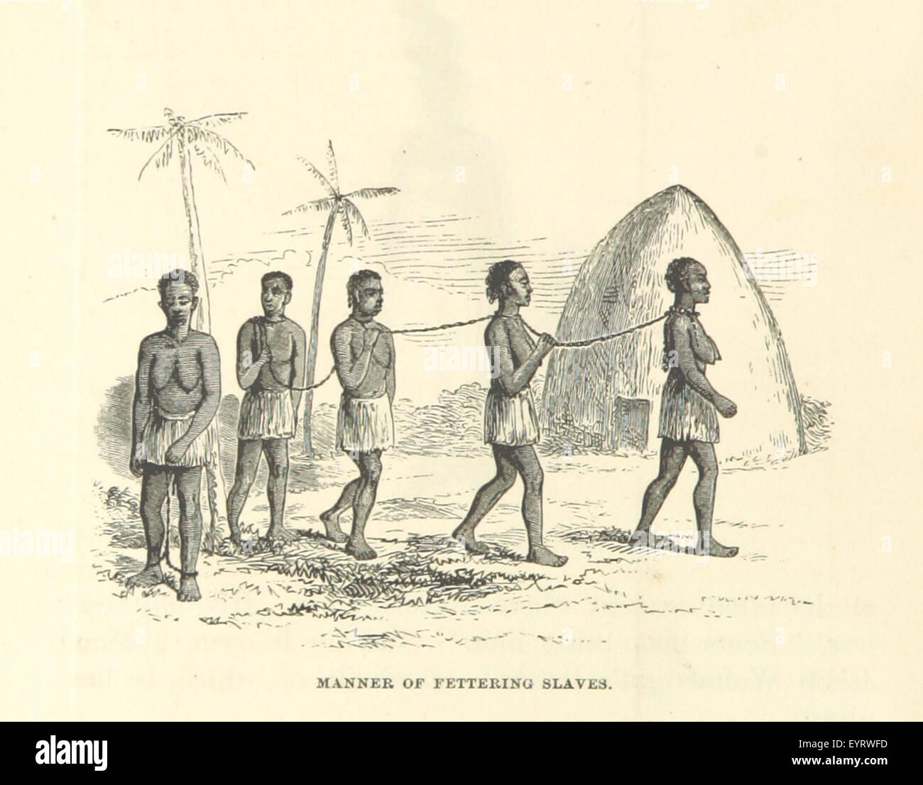 This image, taken from 'Across Africa', features an illustration ...