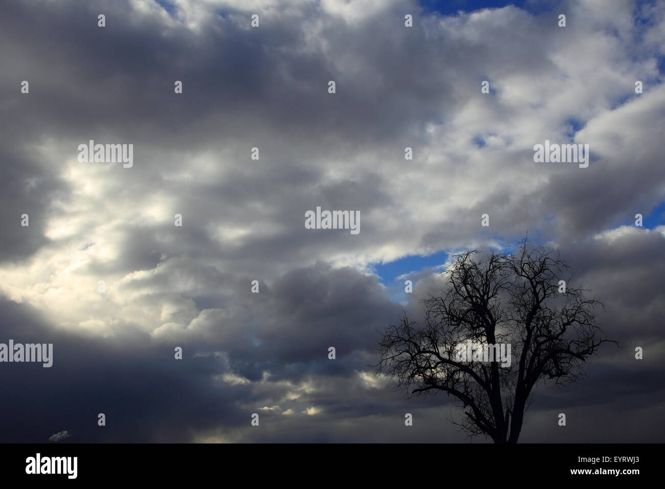 Clouds and tree Stock Photo - Alamy