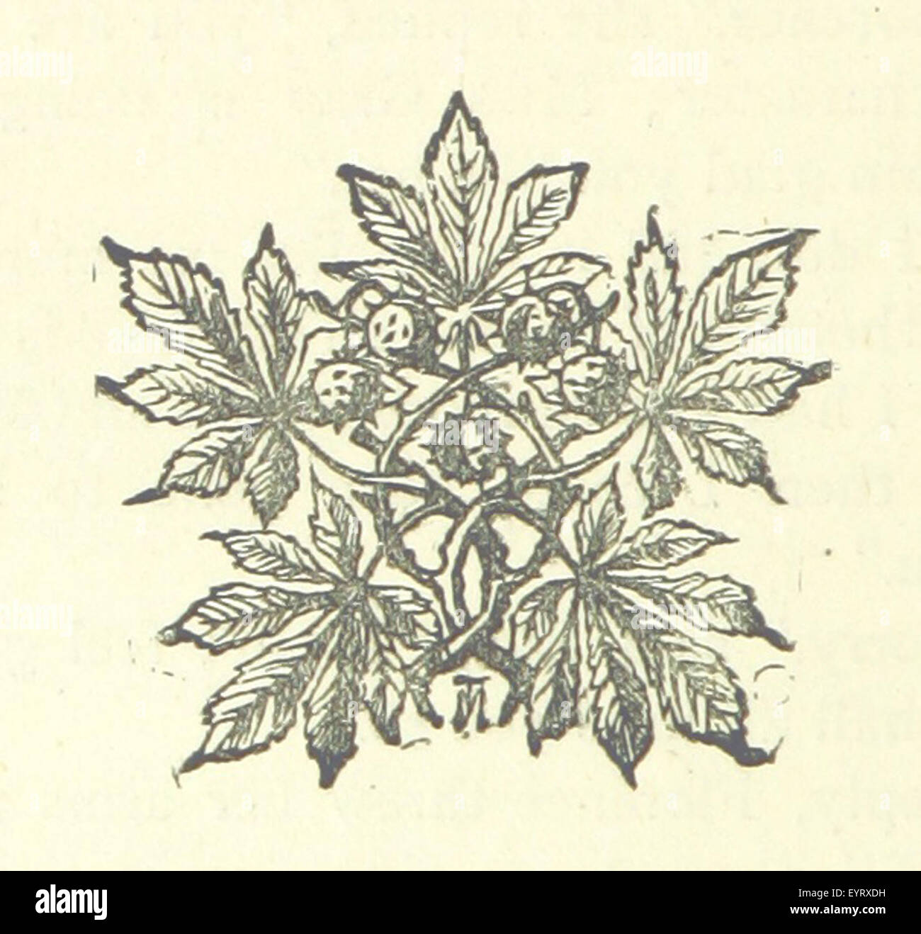 Historic book illustration from early hi-res stock photography and ...