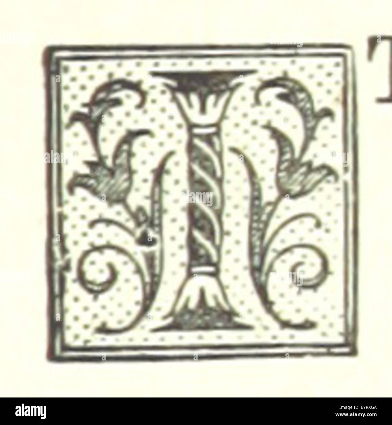 An image from 'The Second Wife,' a literary work exploring ...