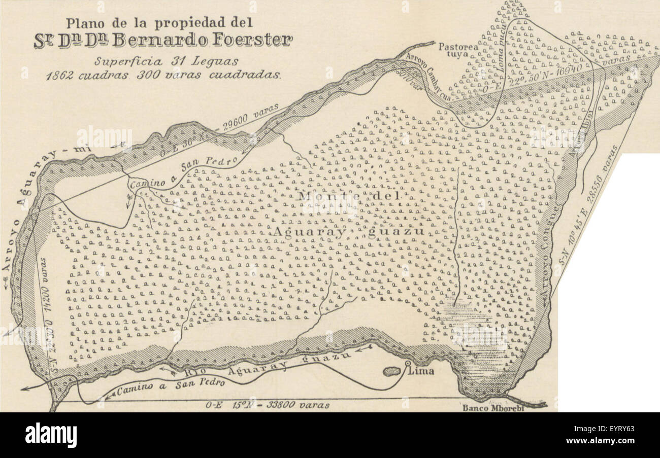 Photograph from page 191 of 'Dr. Bernhard Forster's Kolonie Neu ...