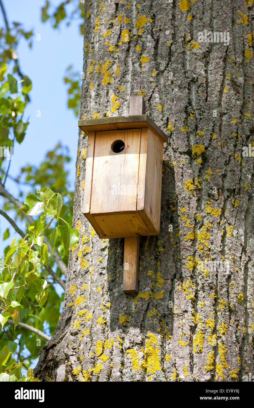 Nesting box in the tree Stock Photo - Alamy