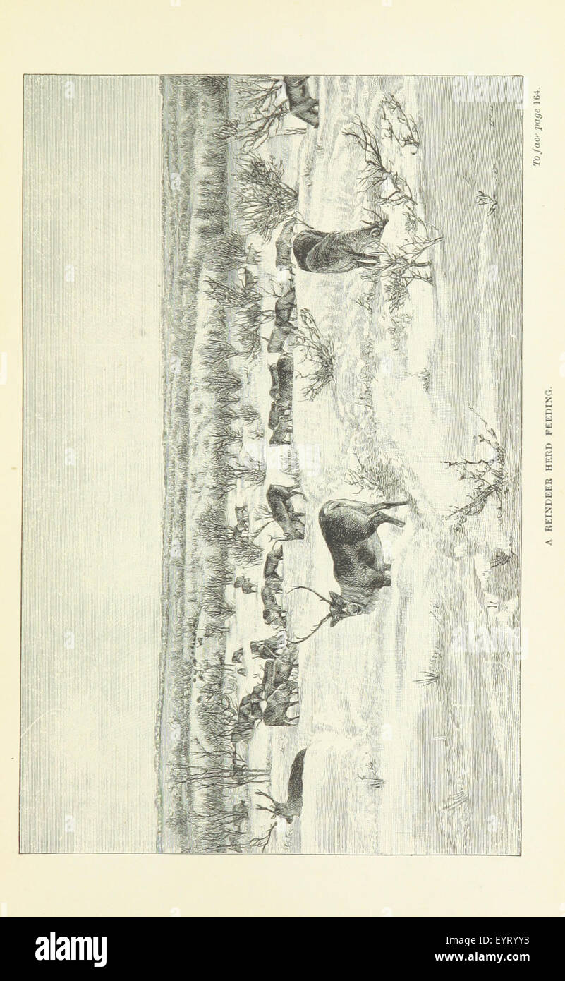 This image is from 'Under the Rays of the Aurora Borealis,' capturing ...