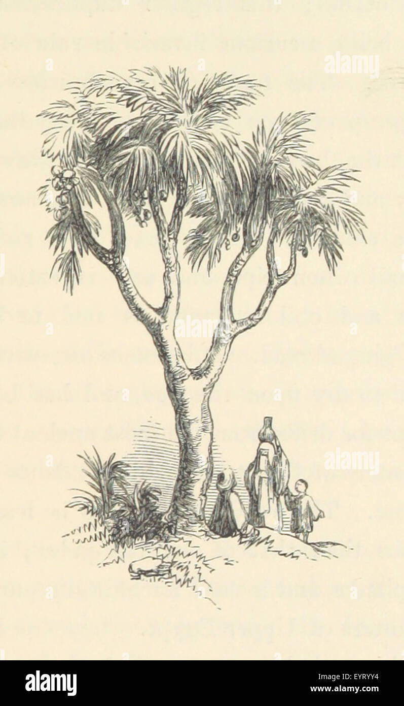 The image shows a page from 'Up the Nile,' a travel narrative ...