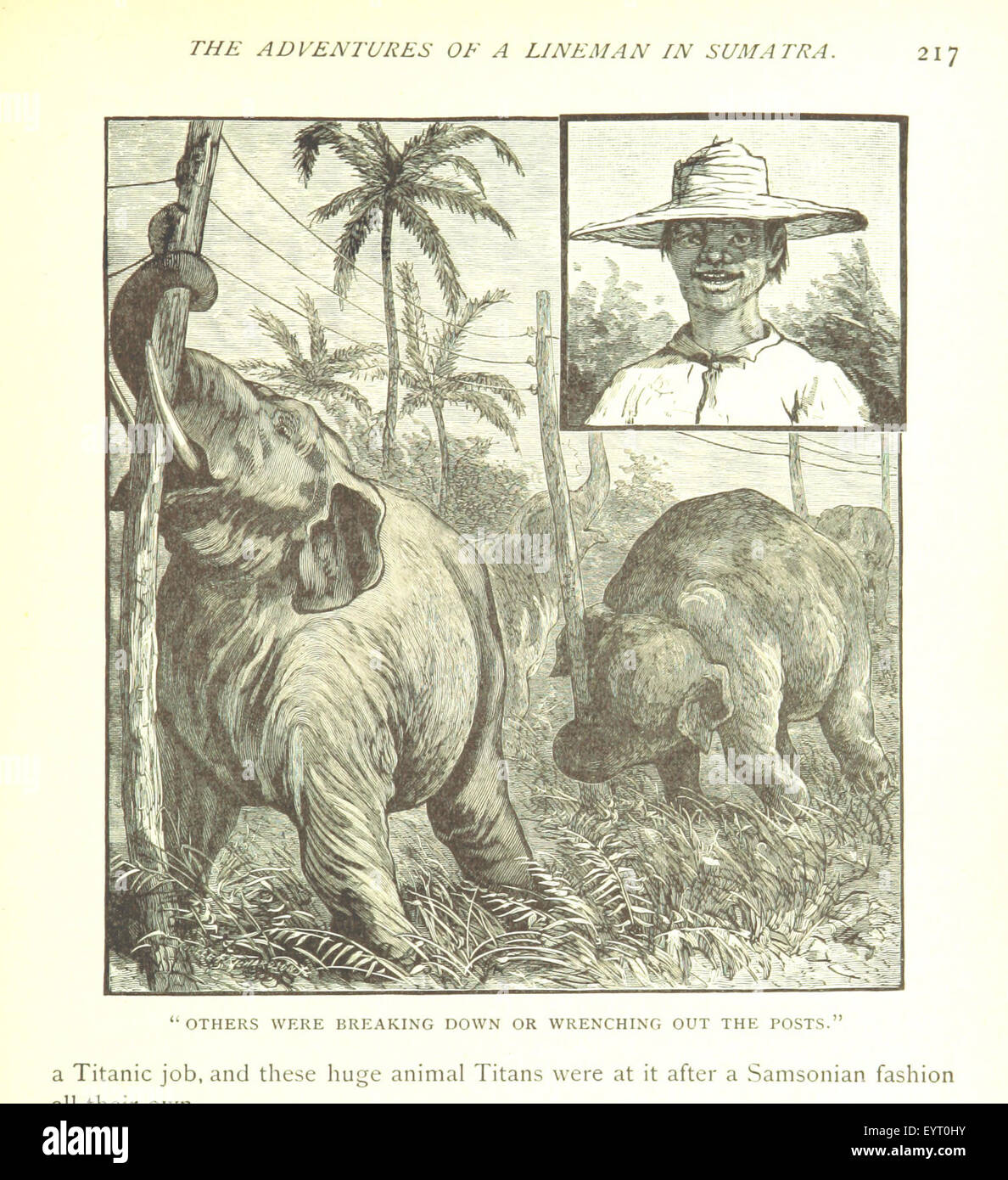 Antipodes map hi-res stock photography and images - Alamy