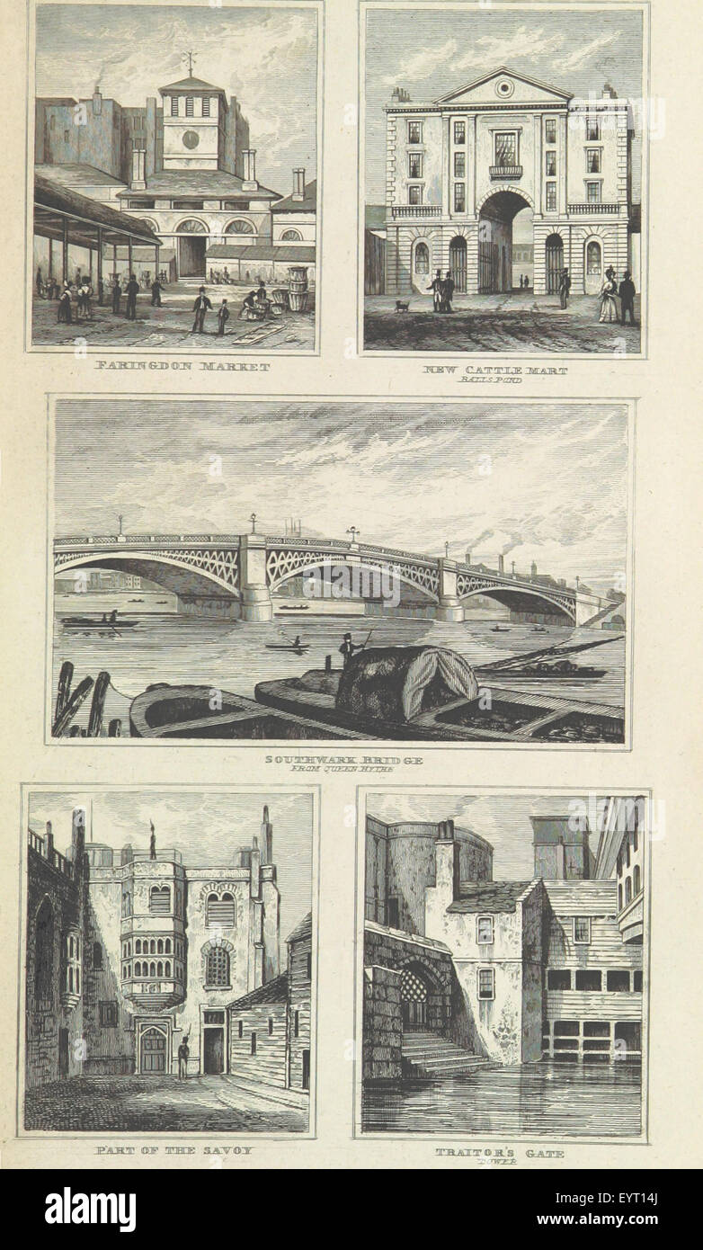 Photograph from page 227 of 'National History and Views', a work ...