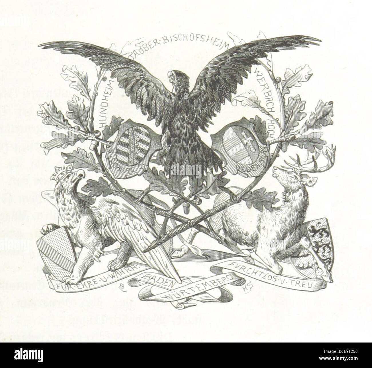 A photograph from page 247 of 'Der deutsche Krieg von 1866 ...