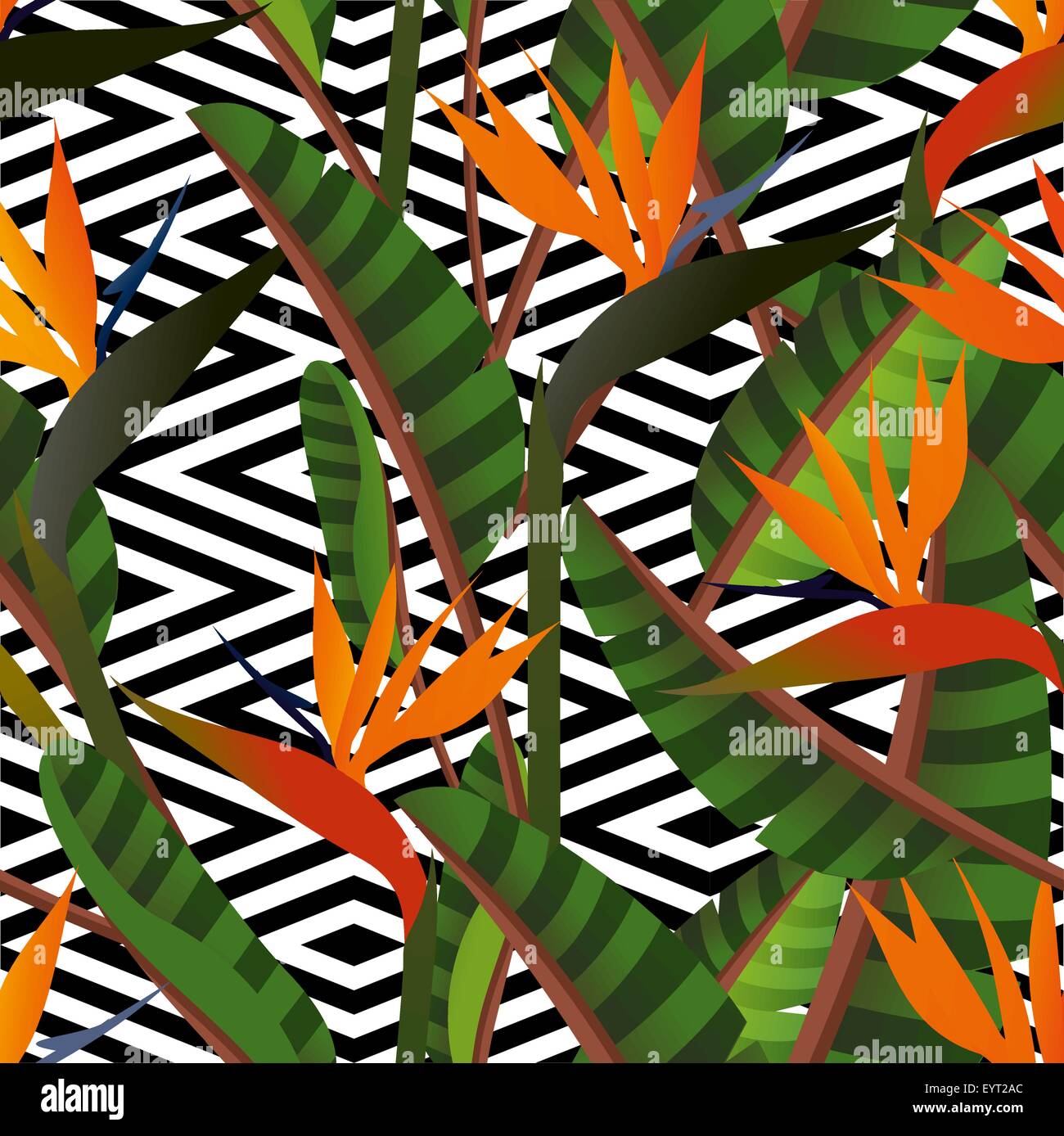 Colorful retro bird of the paradise flowers and geometric seamless ...