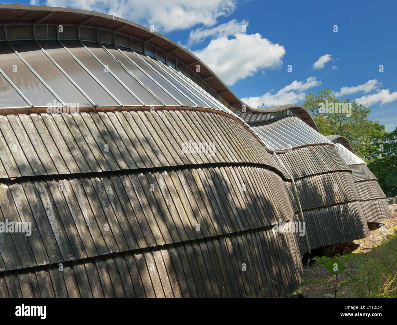 Downland gridshell High Resolution Stock Photography and Images - Alamy